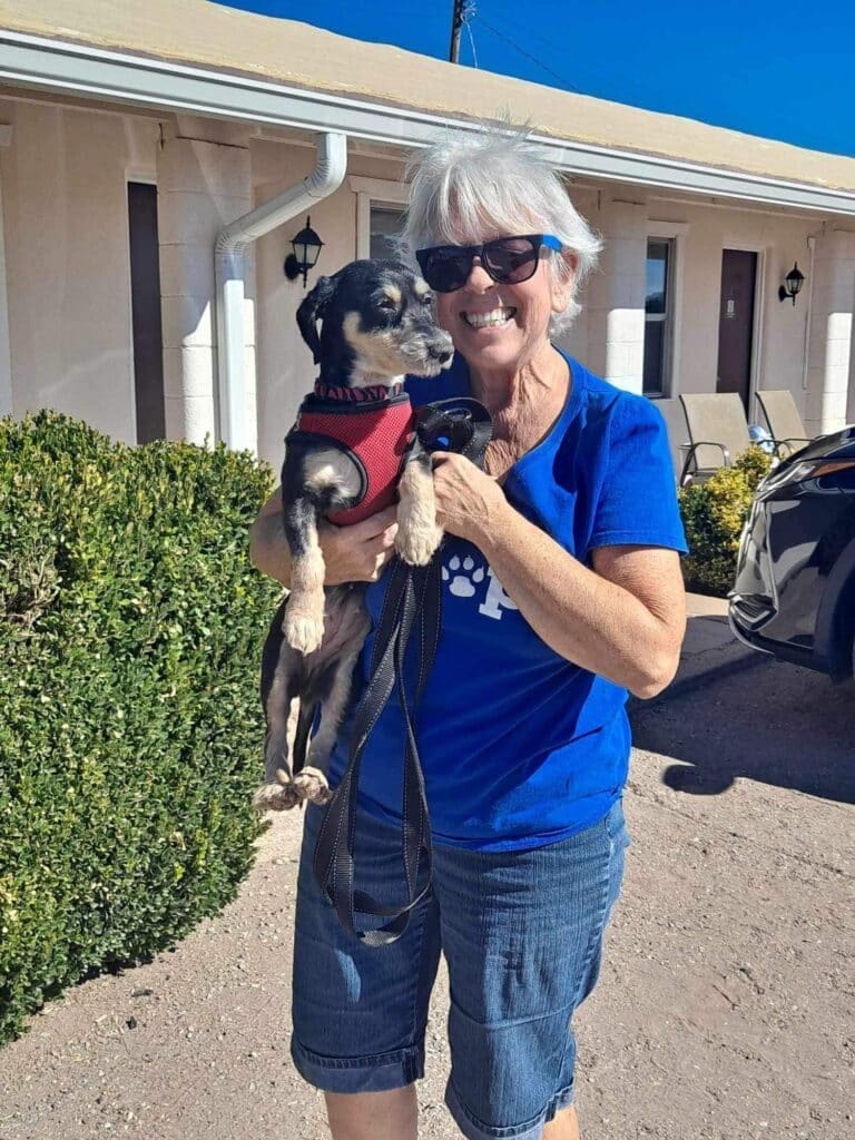 About Us | Many Paws Volunteer Transport